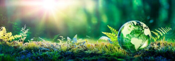 Building a Sustainable Future | Green City Times